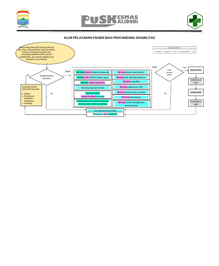 Alur Pelayanan Kesehatan Disabilitas | PDF
