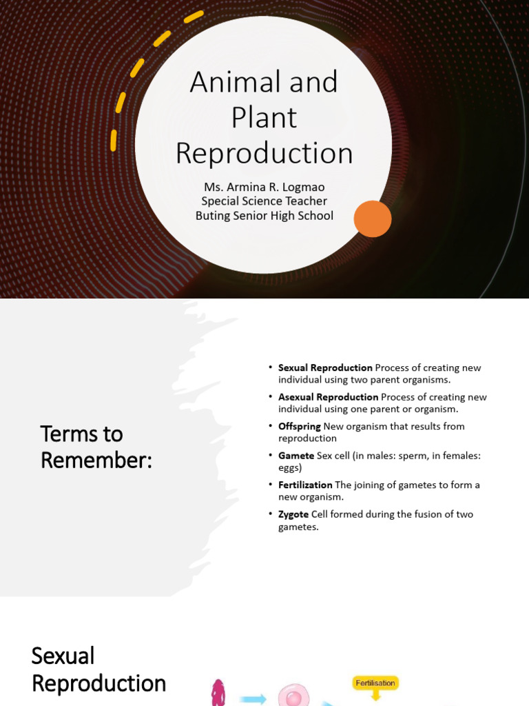 GenBio2-Q4-M1-2-Learner | PDF | Sexual Reproduction | Reproduction