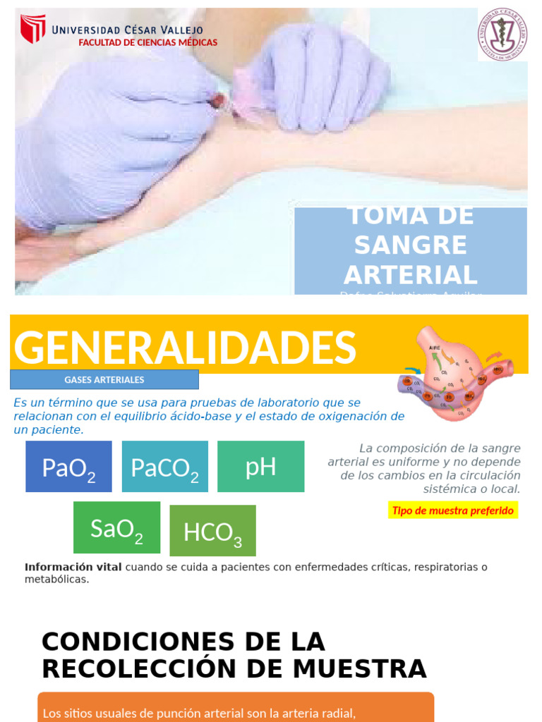 AGA | PDF | Artería | Sangre