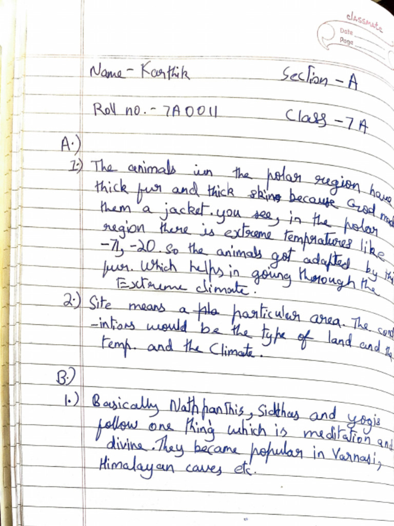 Social Science Note Book | PDF