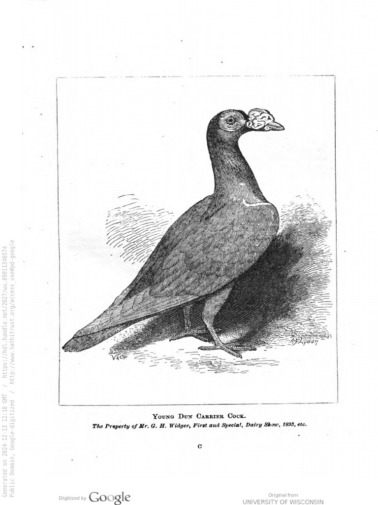 by William Faithfull Lumley wu-89011346574-37-1734092337 | PDF