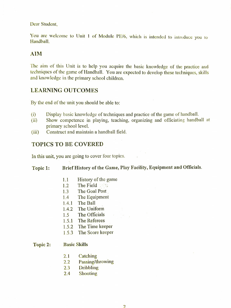 Handball basic skills (1) | PDF