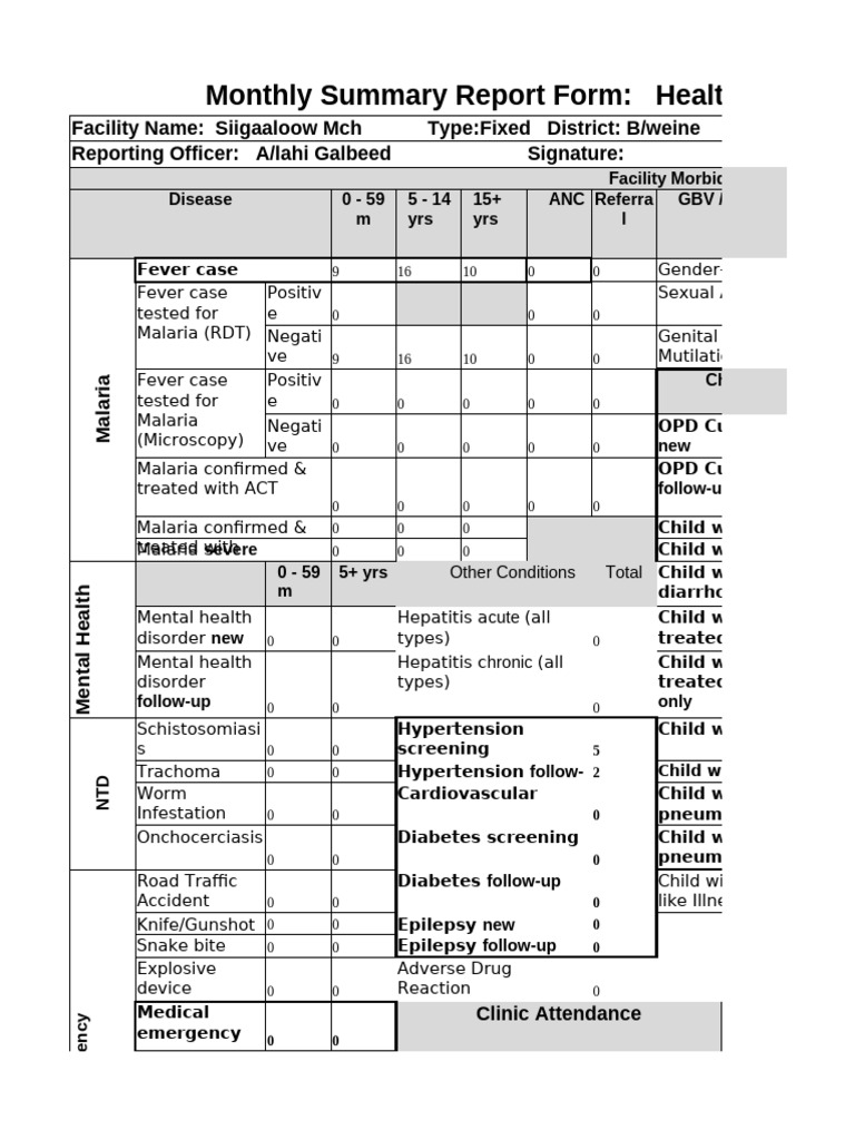 DHIS2 Monthly Health Report 2024 | PDF | Childbirth | Pneumonia