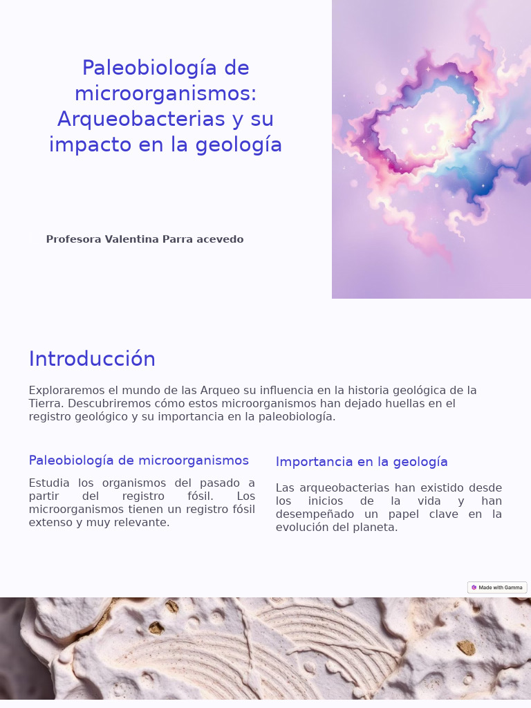 Paleobiologia de Microorganismos Arqueobacterias y Su Impacto en La ...