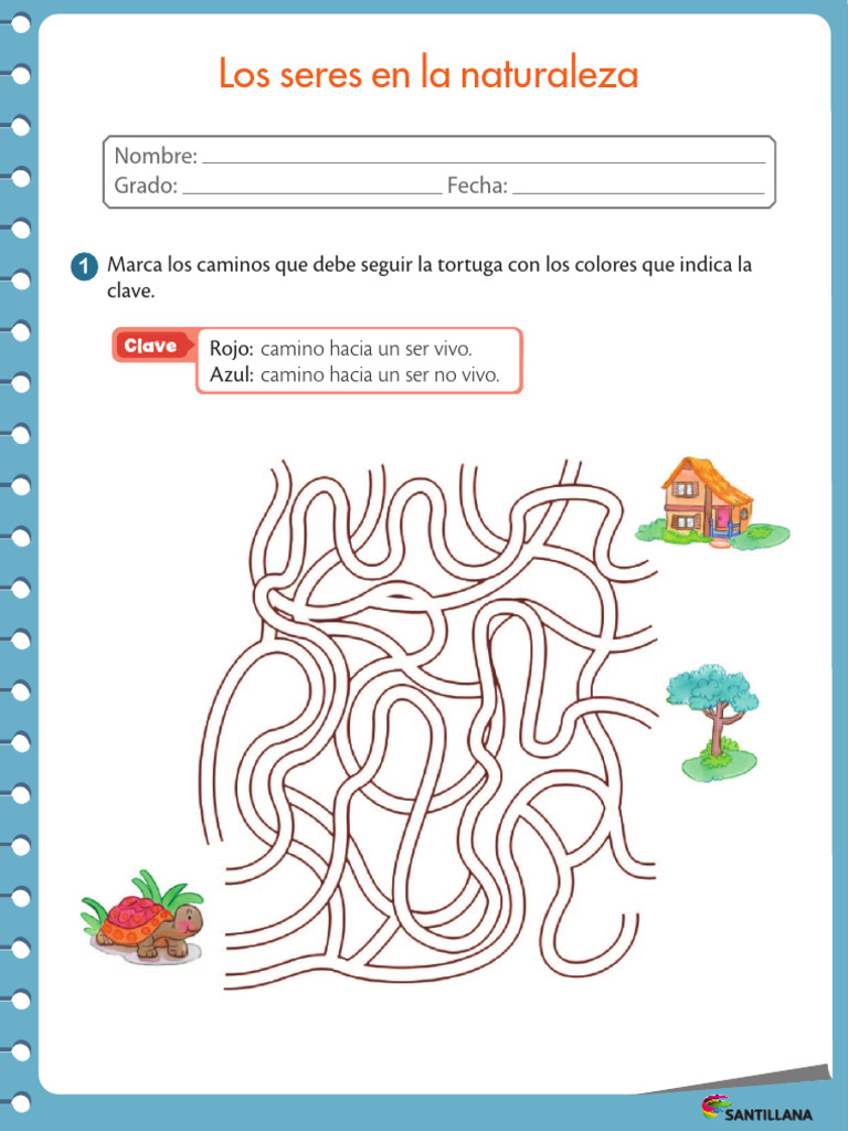 Cie1 Los Seres en La Naturaleza | PDF