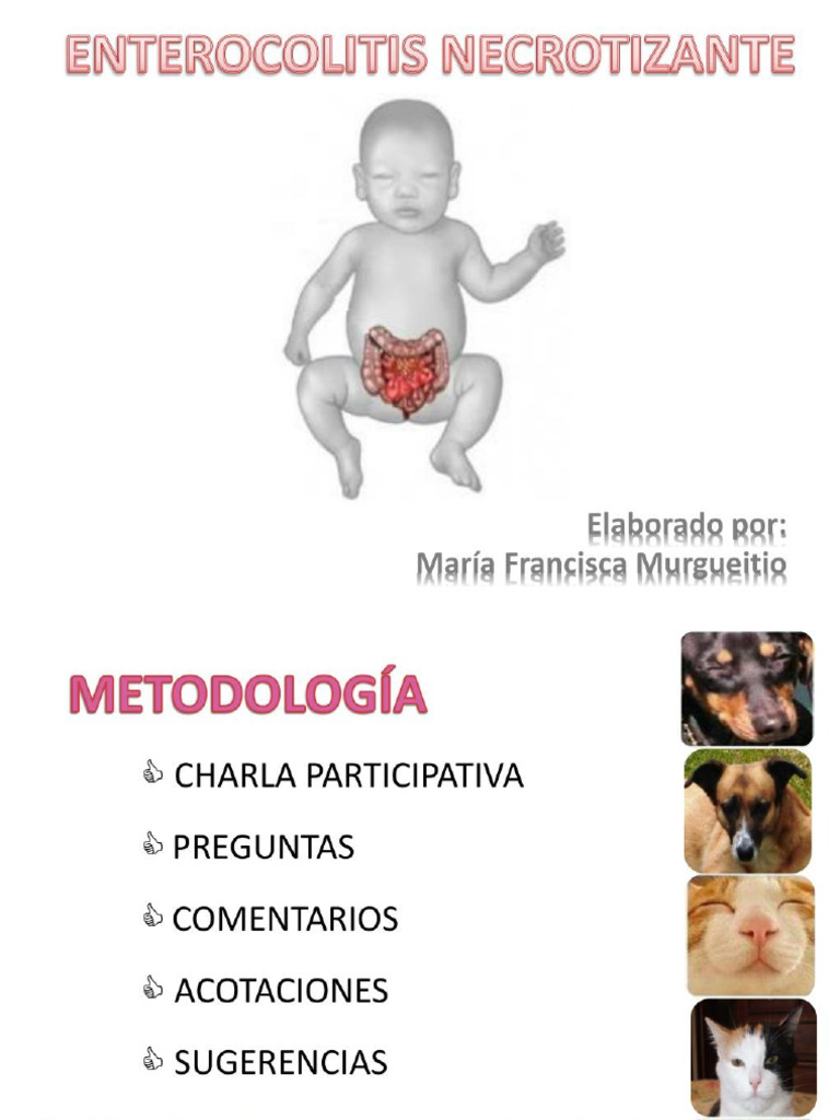 Enterocolitis Necrosante | PDF