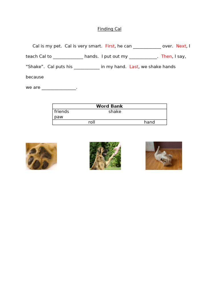 Finding Cal: A Pet's Journey | PDF