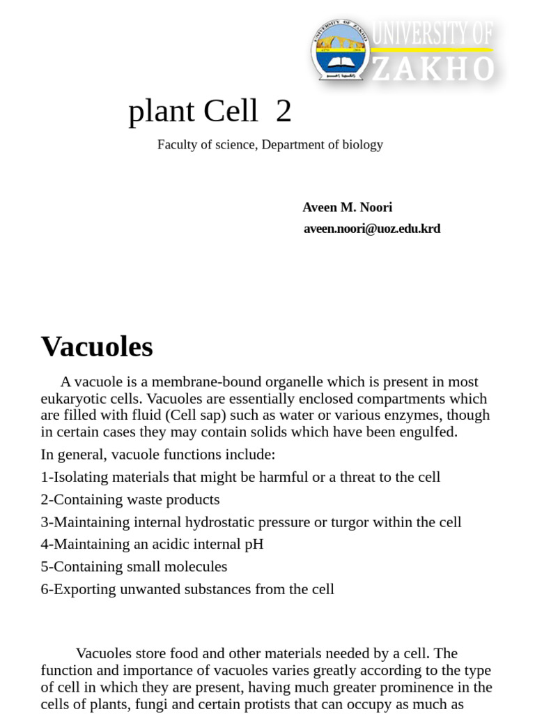 Plant Cell 3 (2 With Picture ) | PDF | Endoplasmic Reticulum | Vacuole
