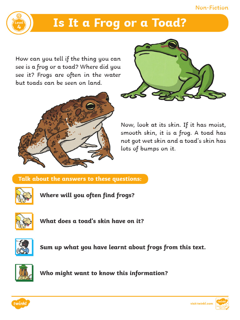 Distinguishing Frogs from Toads | PDF | Reading Comprehension | Frog