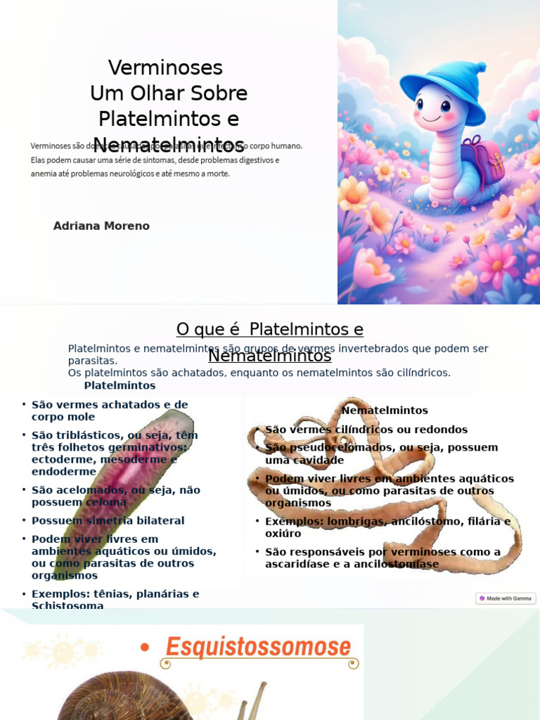 Informativo Complexo Teníase-Cisticercose _2021_0 | PDF | Medicina ...