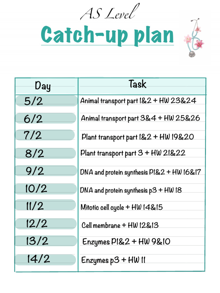 AS Catch Up Plan | PDF
