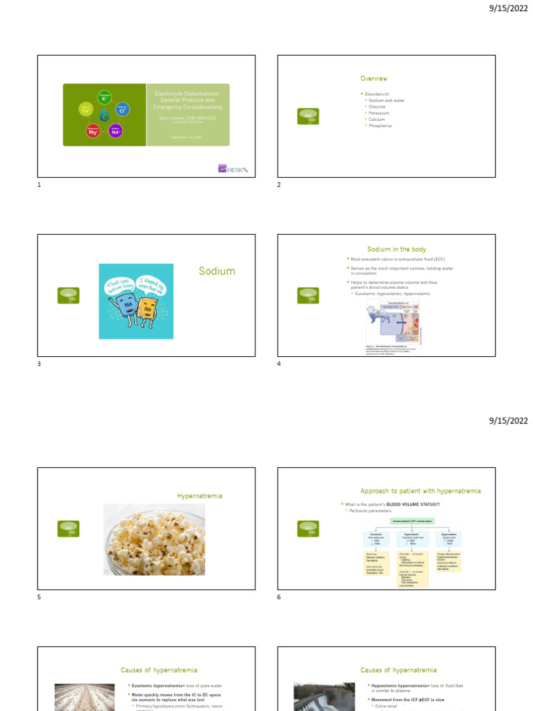 Electrolyte Emergencies Slides | PDF | Membrane Potential | Medical ...