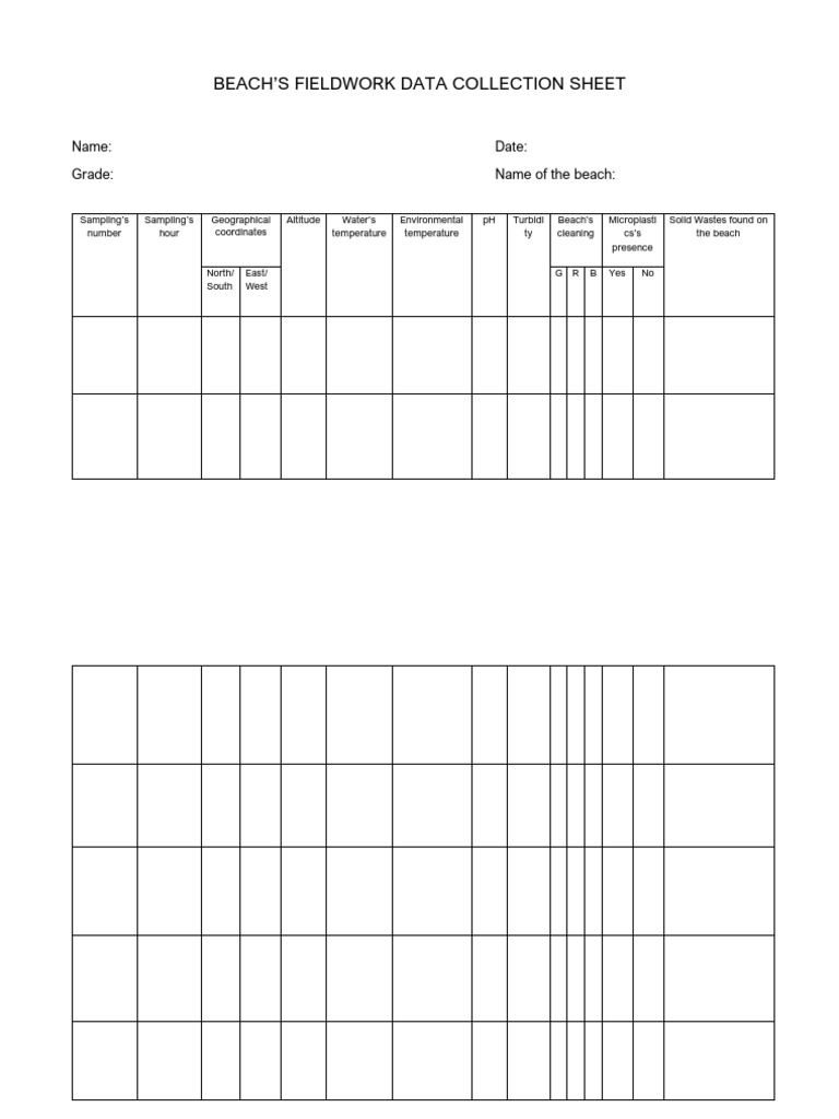 Beach's Fieldwork Data Collection Sheet | PDF