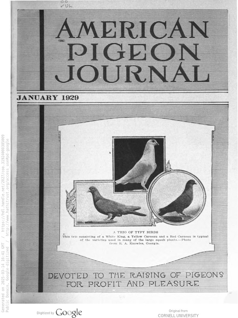 coo-31924000385009-7-1741970482 | PDF