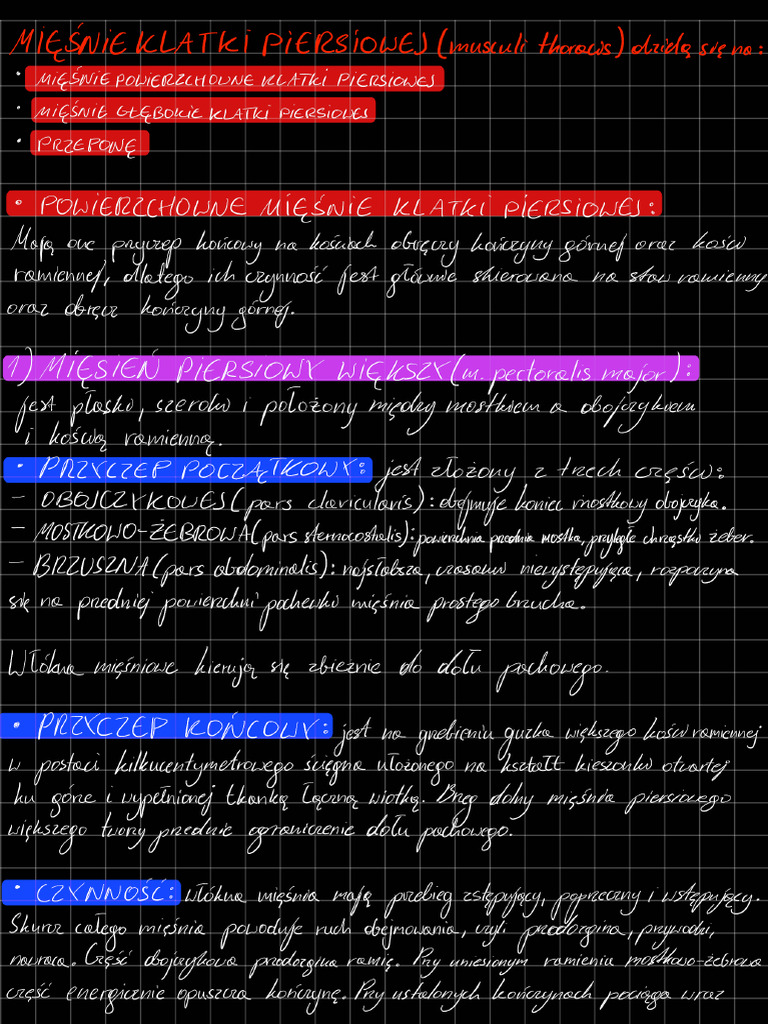 Mięśnie Klatki Piersiowej - 231218 - 140102 | PDF