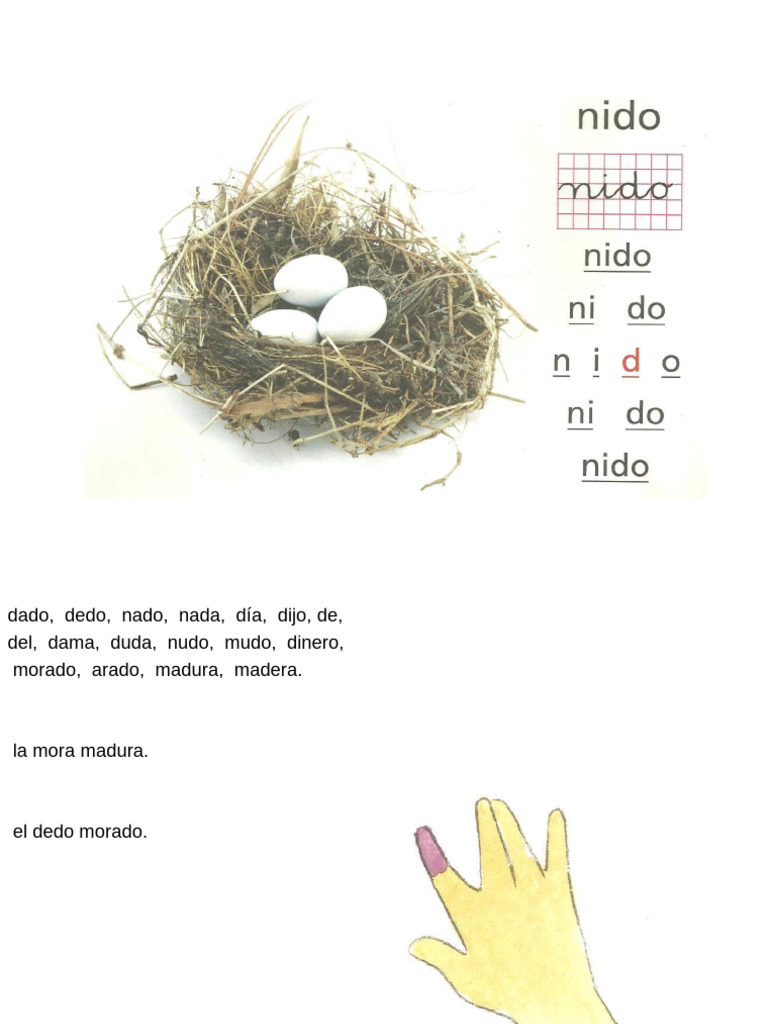 6 nido. | PDF
