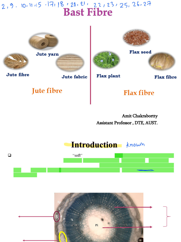 Jute vs. Flax: Bast Fiber Comparison | PDF | Plant Stem | Cellulose