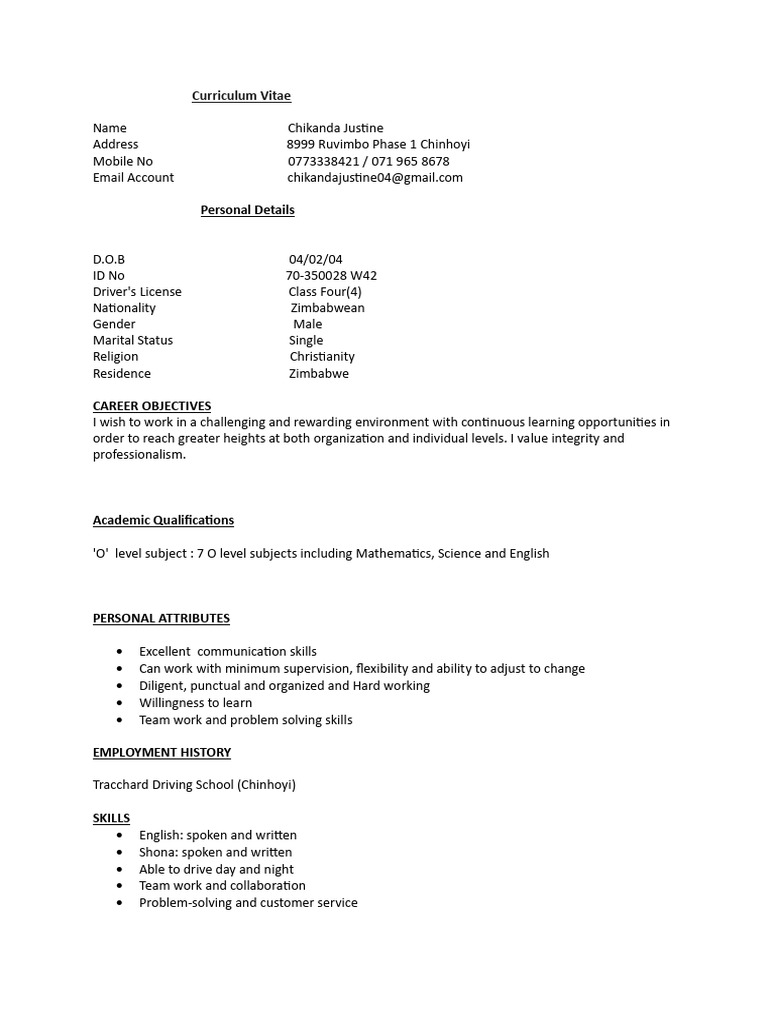 Chikanda Justine's CV and Skills Summary | PDF