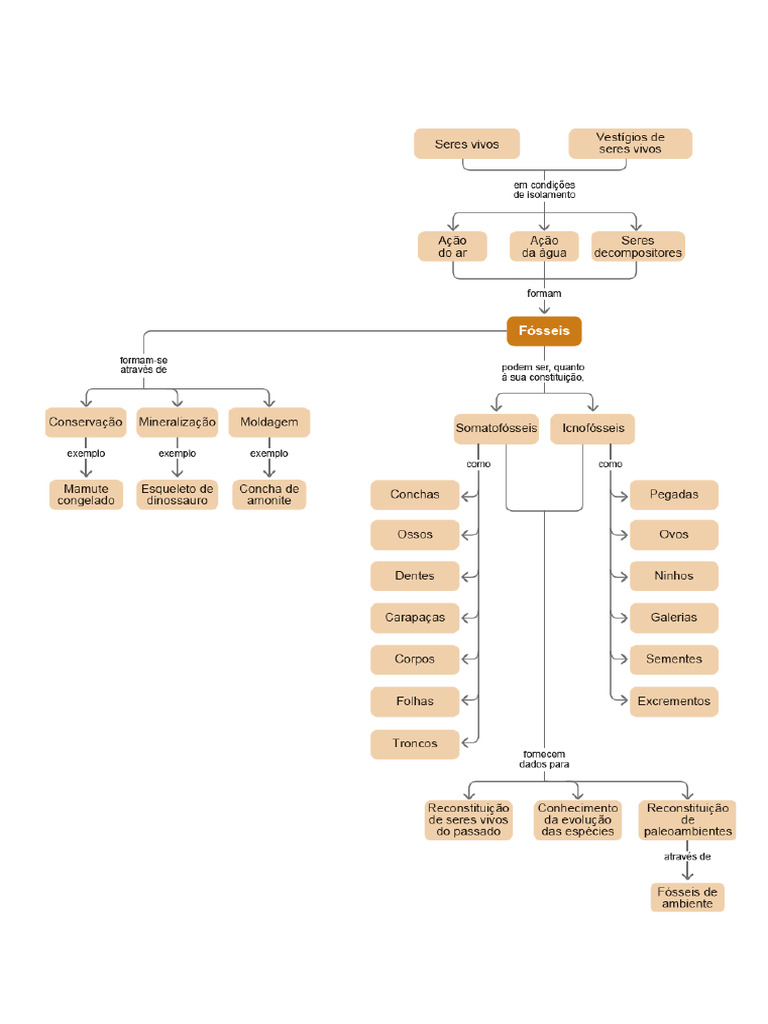 Gctic7 Mapa Ideias L | PDF