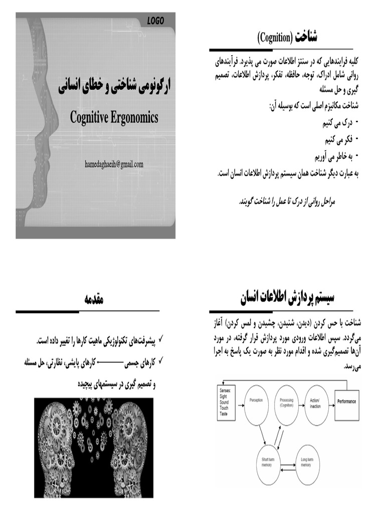 Cognitive Ergonomics | PDF