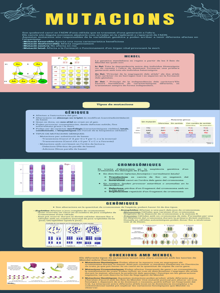 Infografía de Biología Genética y Diversidad Animal Ilustrativa ...