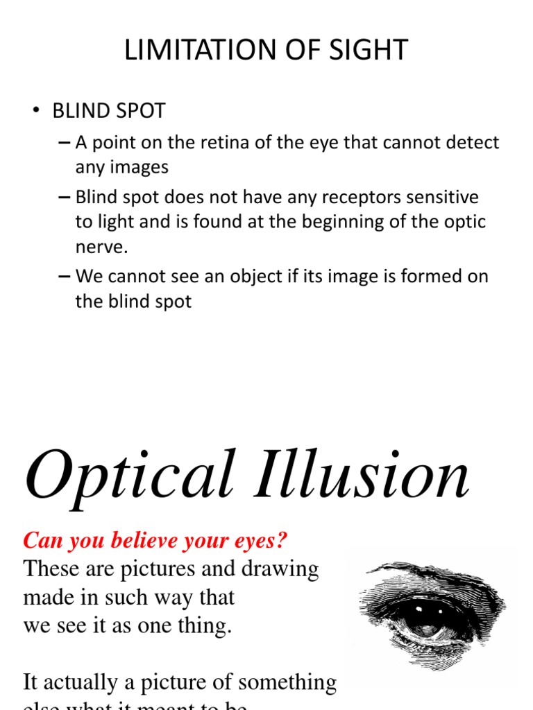 Understanding Optical Illusions and Blind Spots | PDF