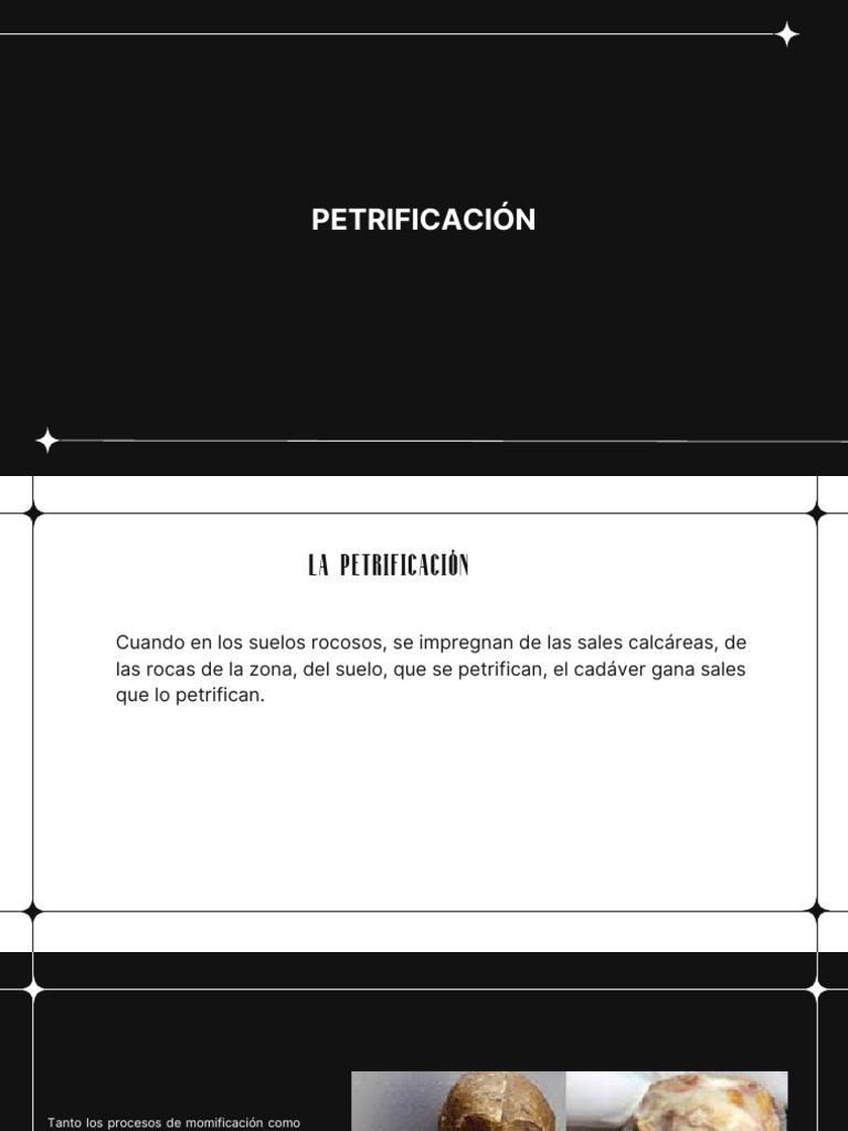 Petrificacion Caso | PDF