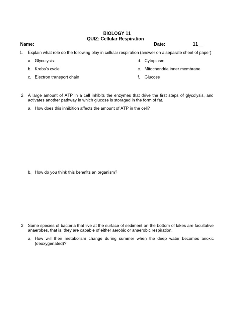 QUIZ Cellular Respiration | PDF | Cellular Respiration | Adenosine ...