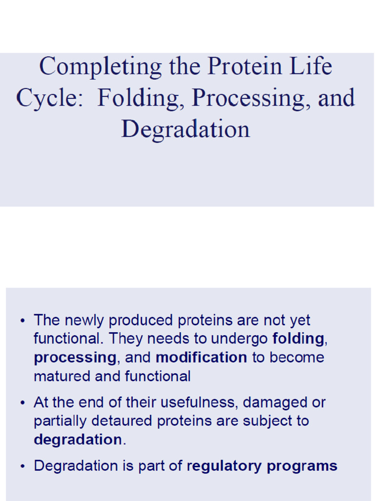 Life Cycle of Protein | PDF