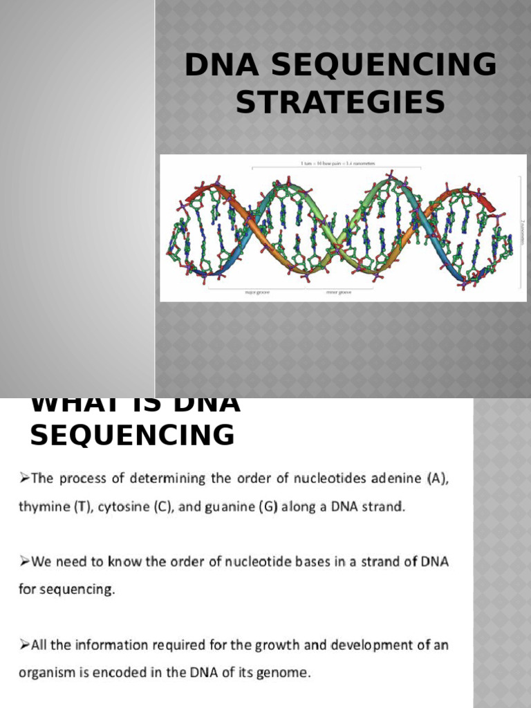 DNA Sequencing Strategies Explained | PDF