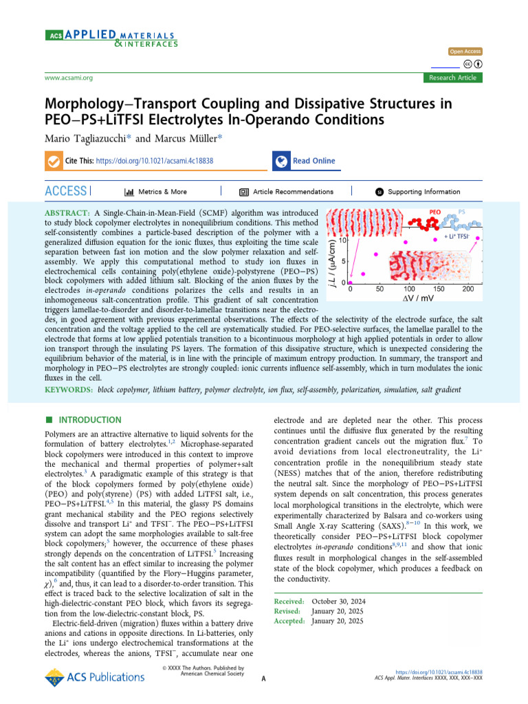 Morphology-Transport in PEO-PS Electrolytes | PDF | Salt (Chemistry ...