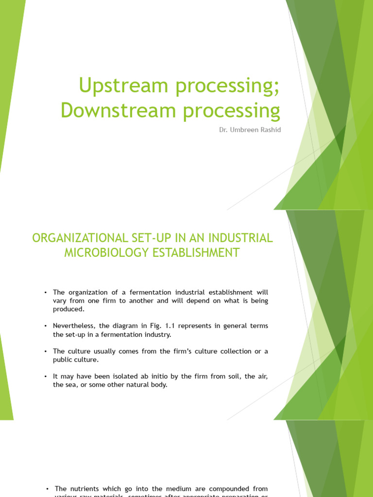 Upstream Processing Downstream Processing | PDF