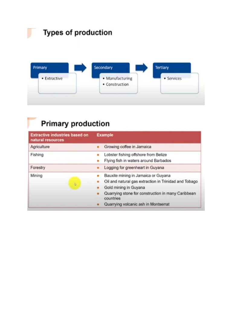 Notes - Types and Levels of Production | PDF