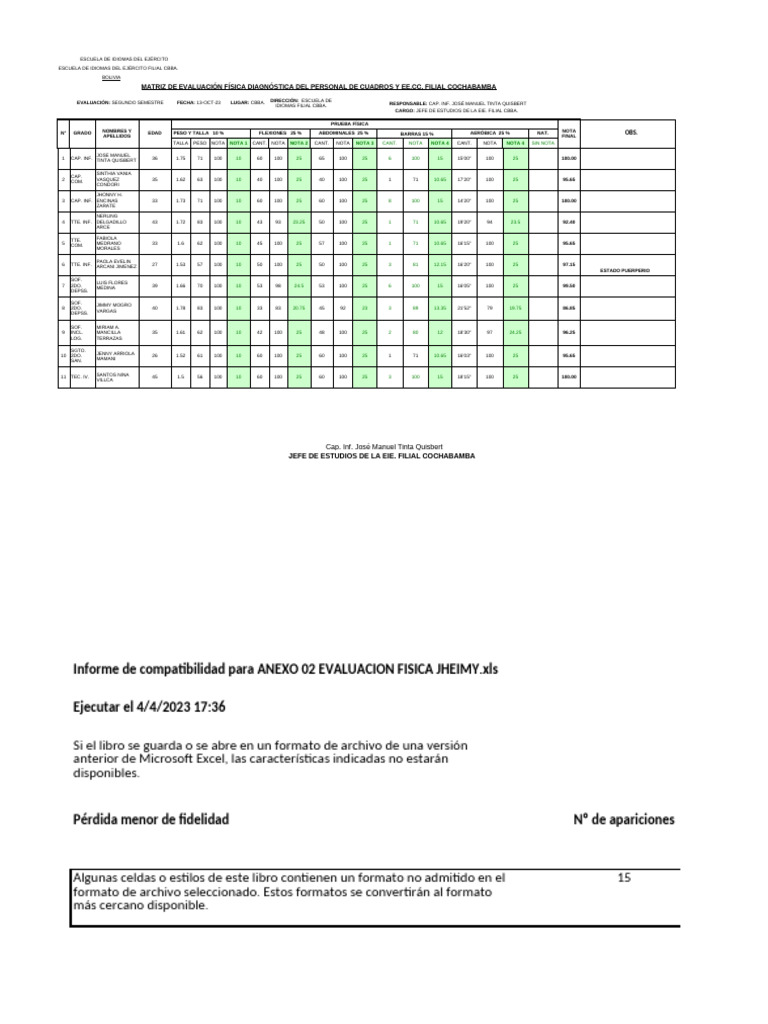 Matriz Efm | PDF | Software de Microsoft | Microsoft Office