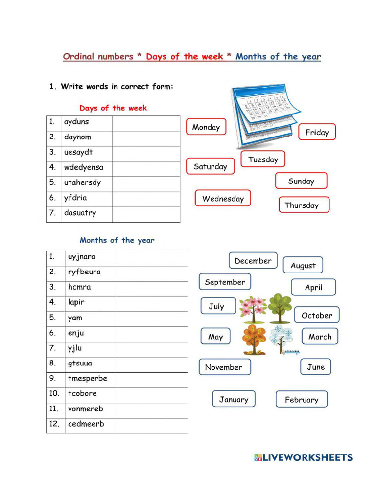 Month, Day and Ordinal Numbers | PDF