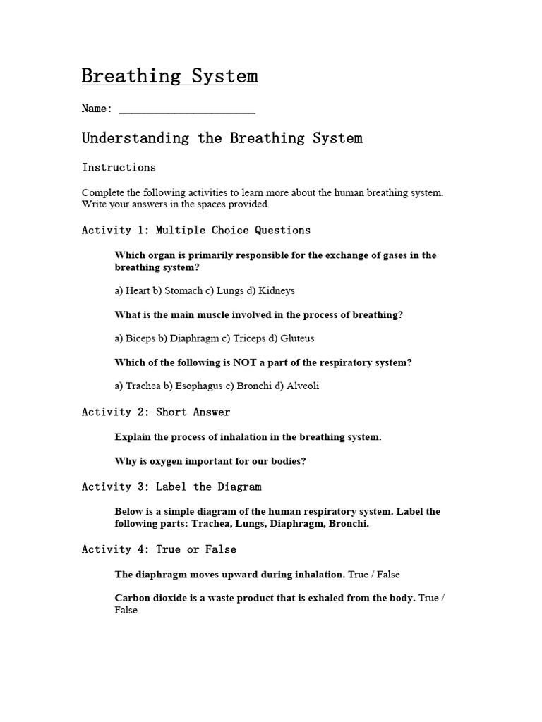 Understanding the Human Breathing System | PDF