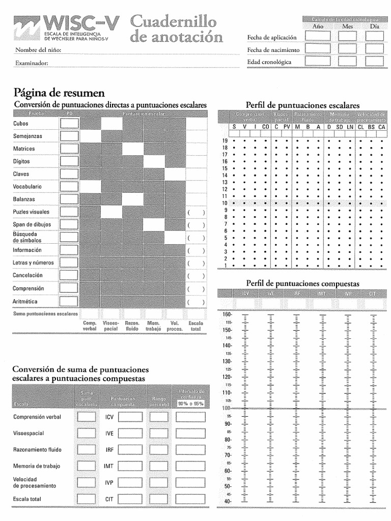 Cuadernillo de Anotacion Wisc V (1) - 21 | PDF