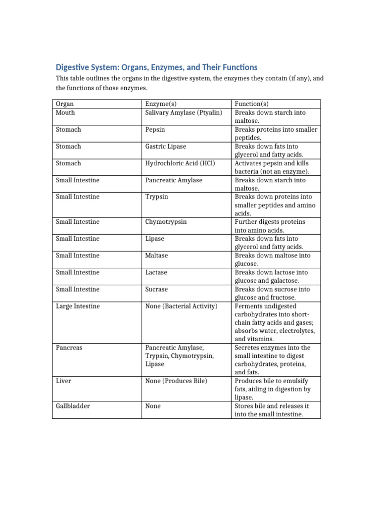 Digestive_System_Enzymes | PDF | Digestion | Biochemistry