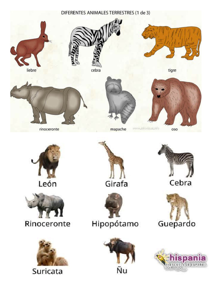 Animales Terrestre | PDF