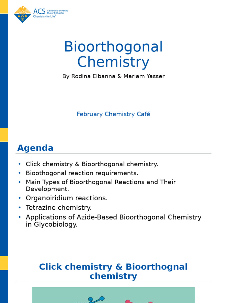 Bioorthogonal Chemistry Overview | PDF | Life Sciences | Biotechnology