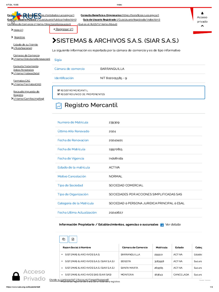 Rues Siar S.A.S. | PDF