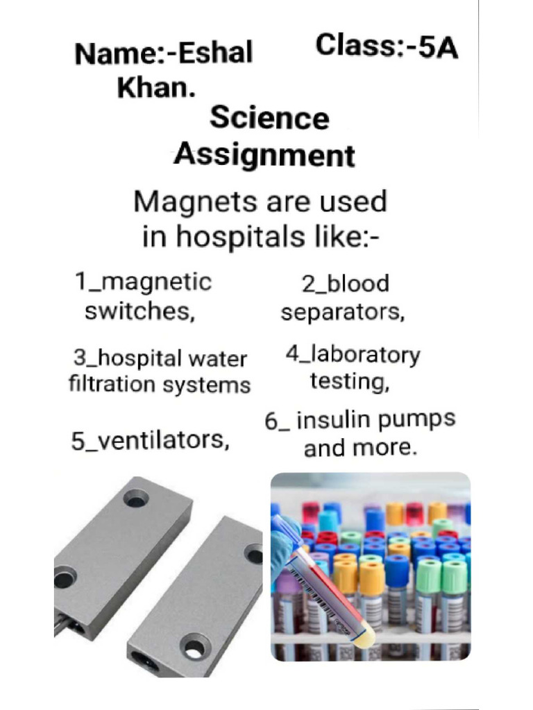 Eshal Khan 5A Science Online Assignment | PDF
