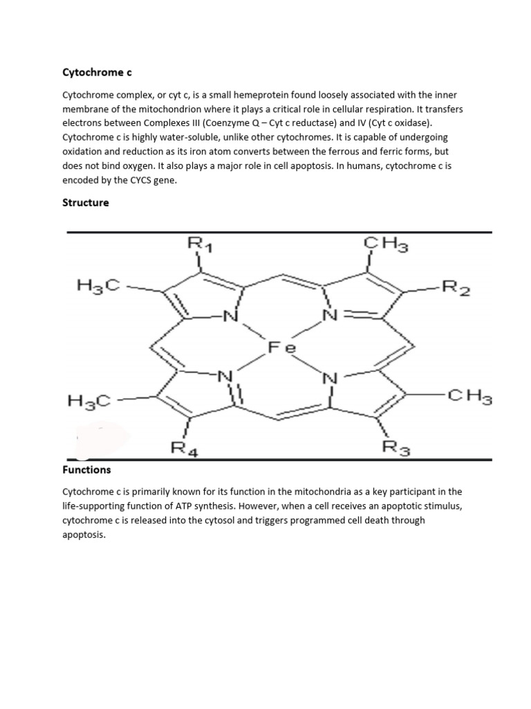 (Cytochrome C) Aimn Fiaz | PDF