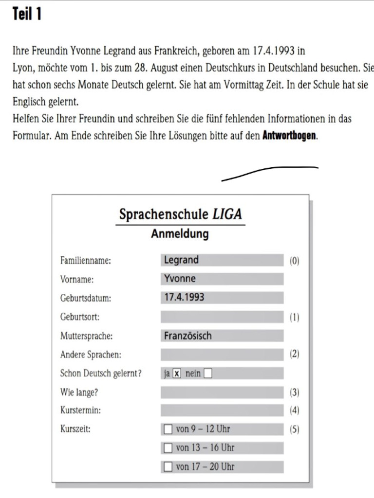 A1 Form Ausfüllen | PDF