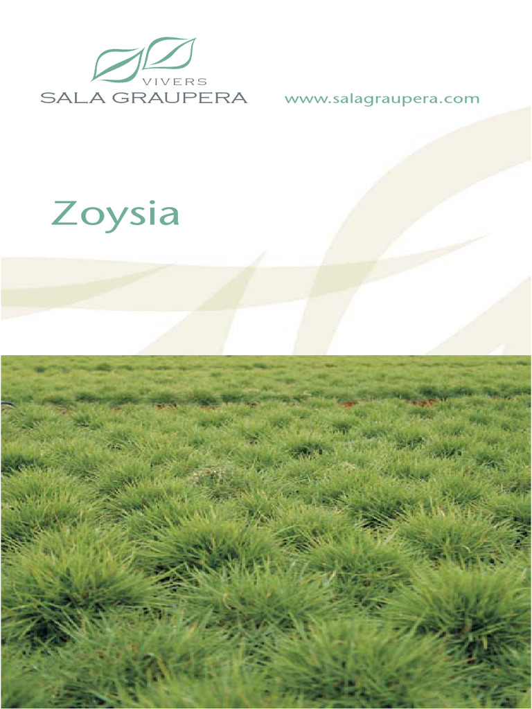 Salagraupera Zoysia | PDF