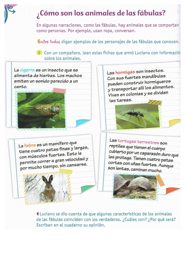 Que Son Las Fabulas | PDF