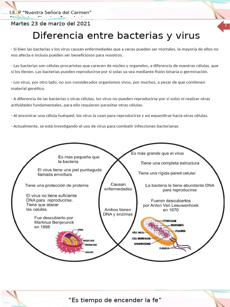 Bacterias vs Virus: Diferencias Clave | PDF