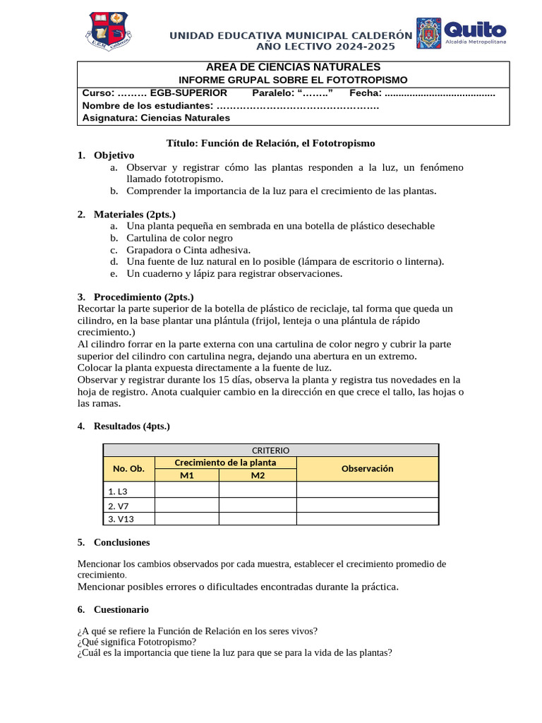 Informe de Laboratiorio_ccnn_grupal (4) | PDF