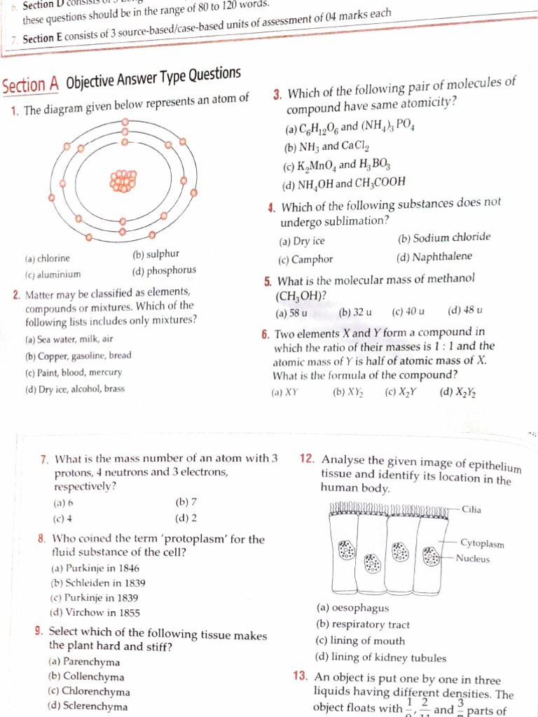 Science Assessment Questions and Answers | PDF | Tissue (Biology ...