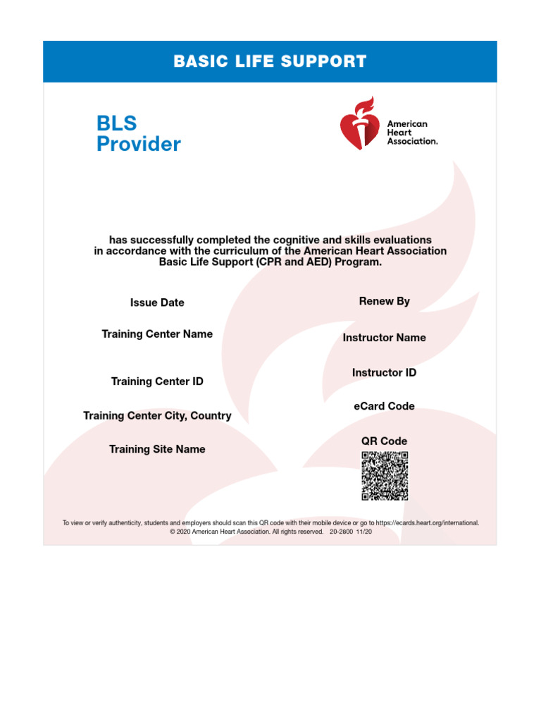 BLS Provider: Basic Life Support | PDF
